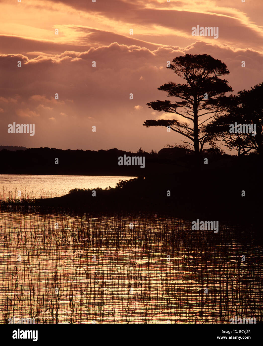 Muckross Lake at sunrise, Killarney, County Kerry, Eire Stock Photo - Alamy