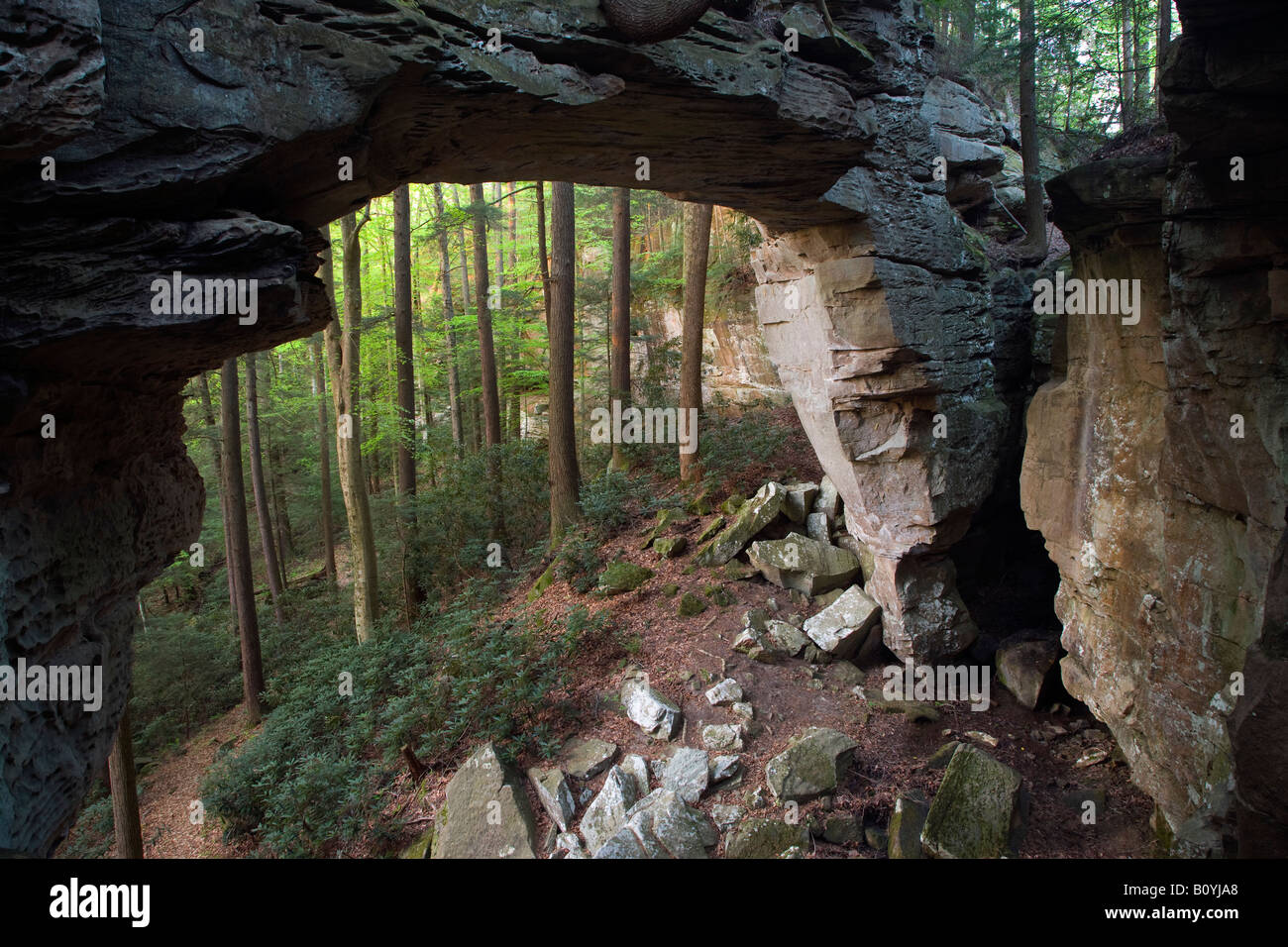 Split Bow Arch, Big South Fork National River and Recreation Area ...