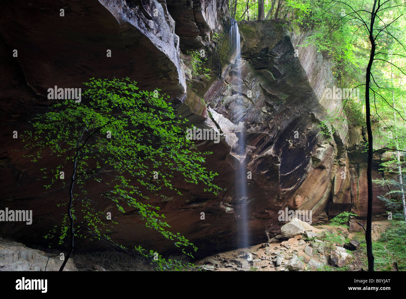 Yahoo Falls, the highest waterfall in Kentucky, Big South Fork National ...