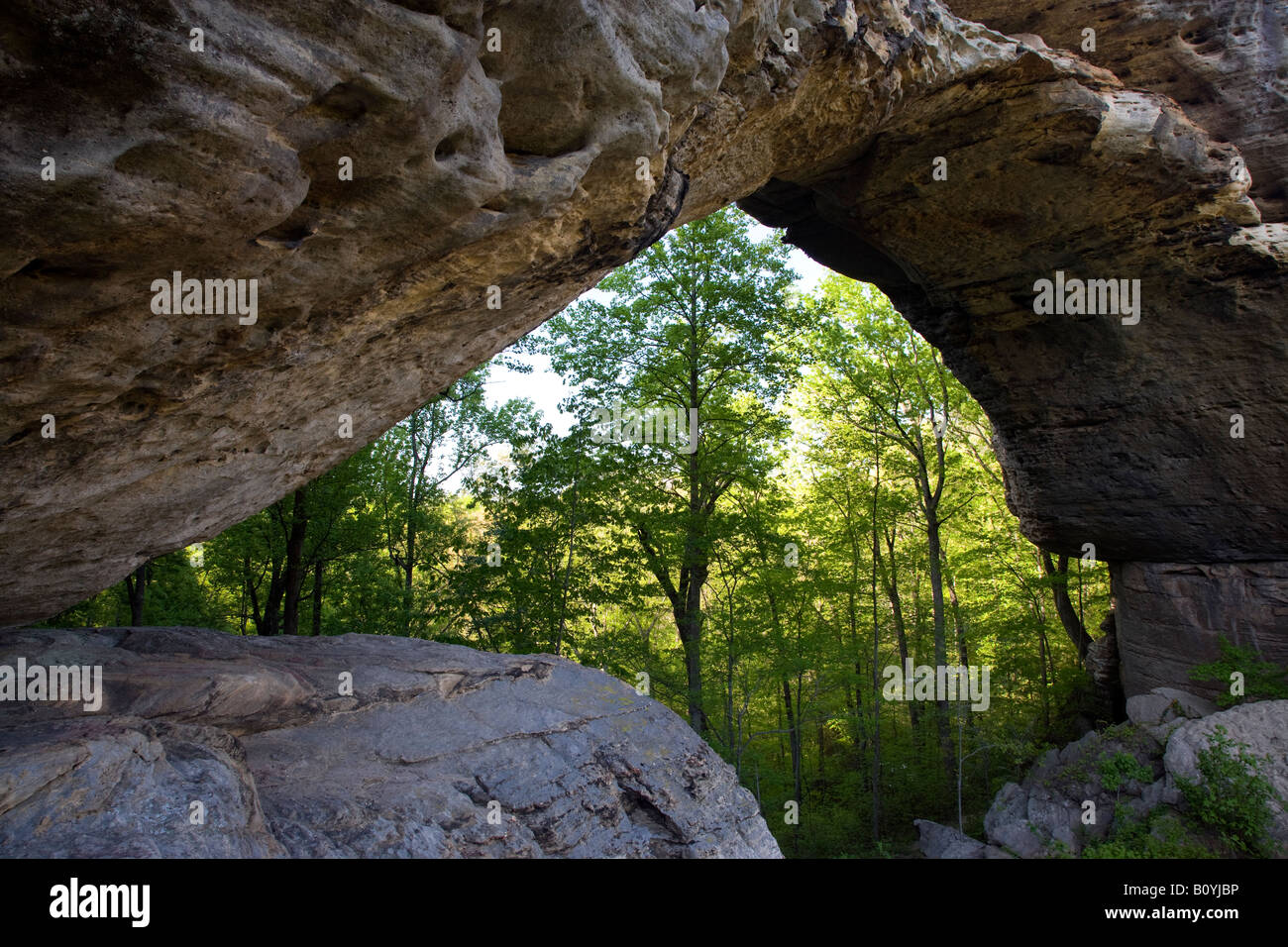 Natural Arch, Daniel Boone National Forest, Kentucky Stock Photo - Alamy