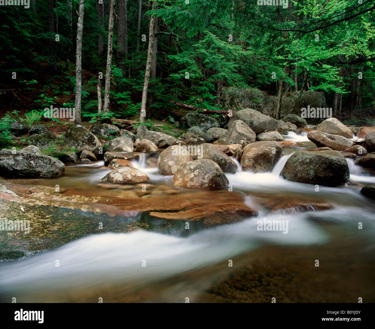 White mountain national forest hi-res stock photography and images - Alamy