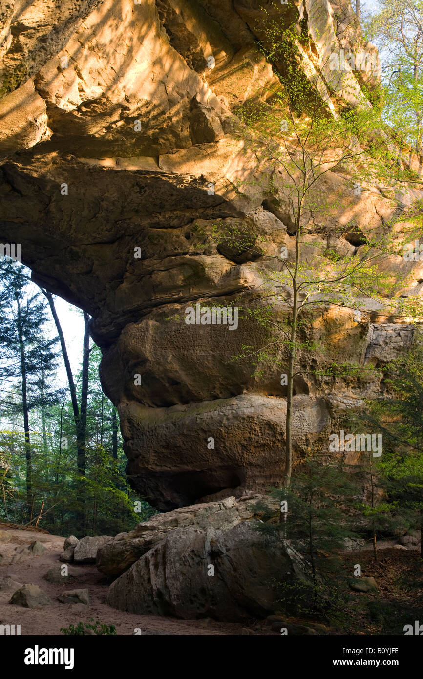 Twin arches big south fork hi-res stock photography and images - Alamy