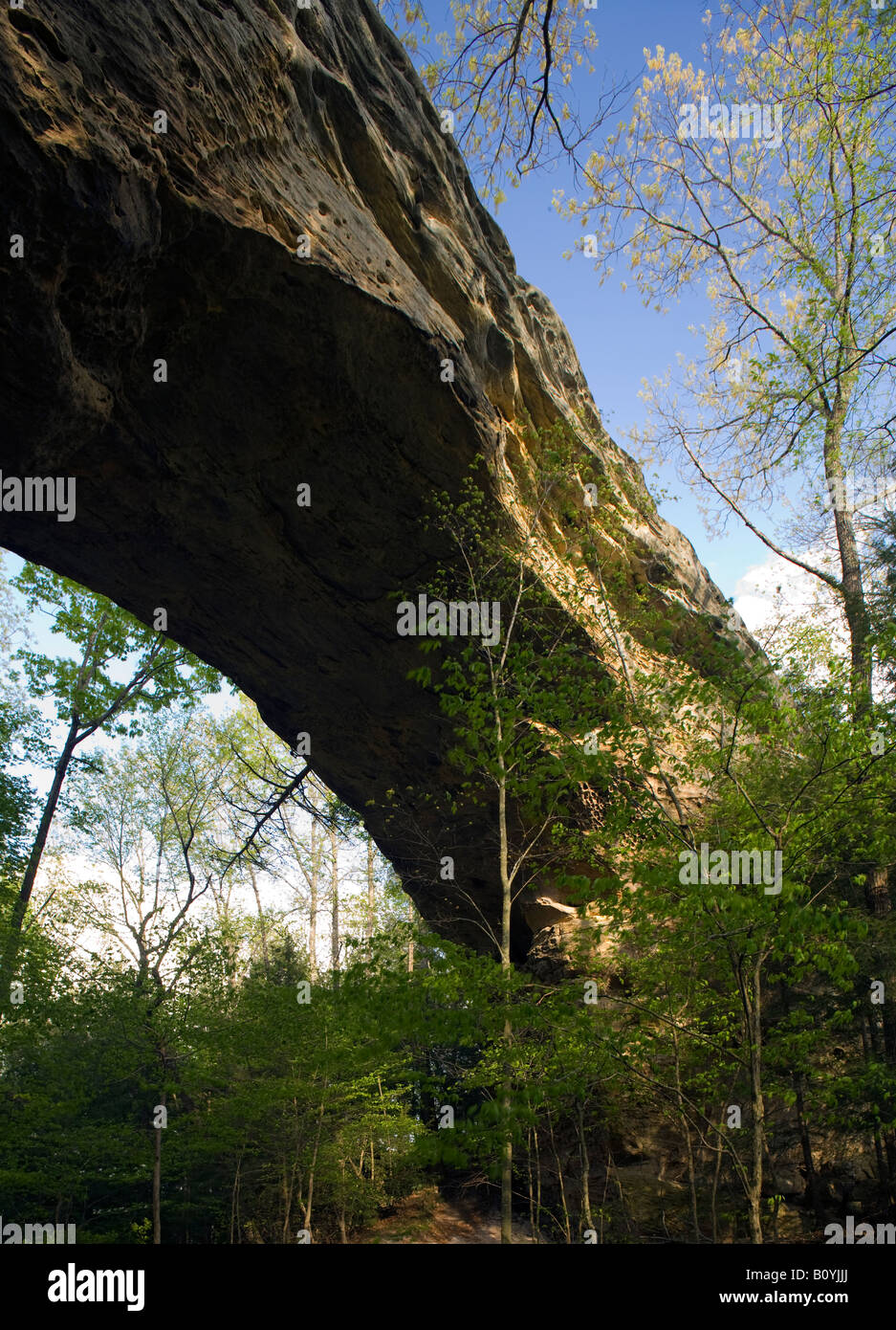 Twin arches big south fork hi-res stock photography and images - Alamy