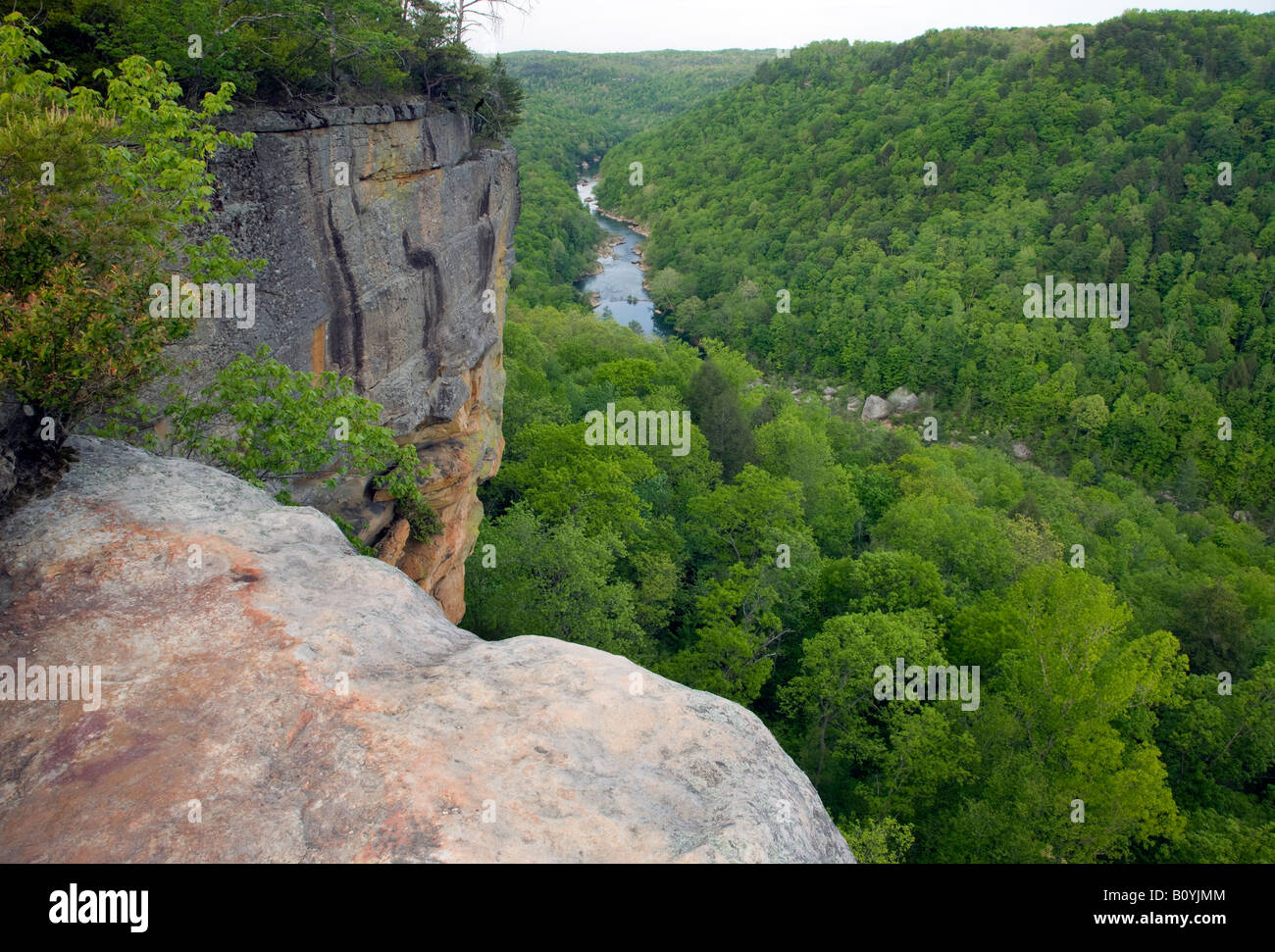 Big South Fork Cumberland River from Angel Falls Overlook, Big South ...