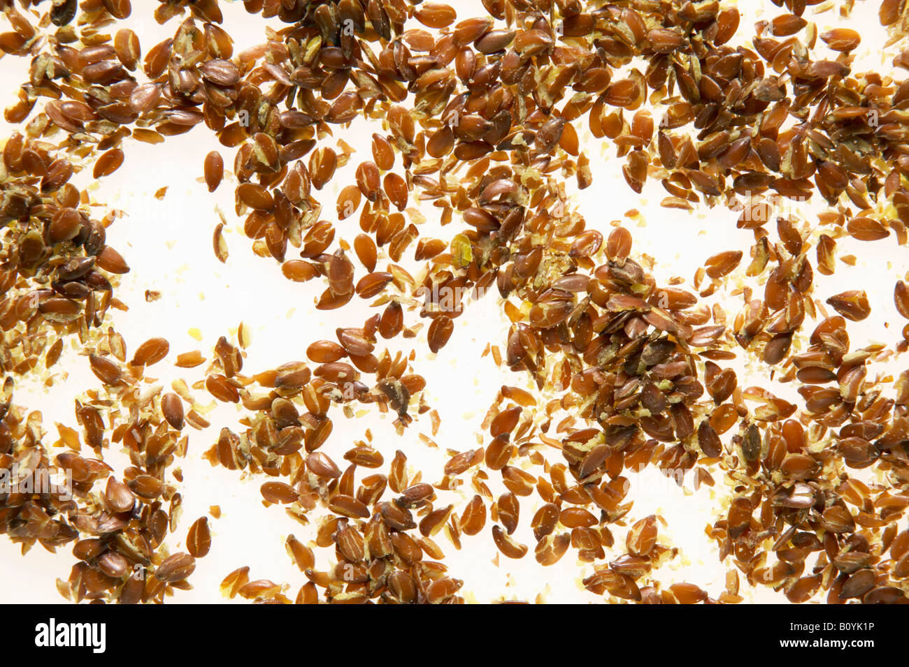 Linseed, elevated view Stock Photo - Alamy