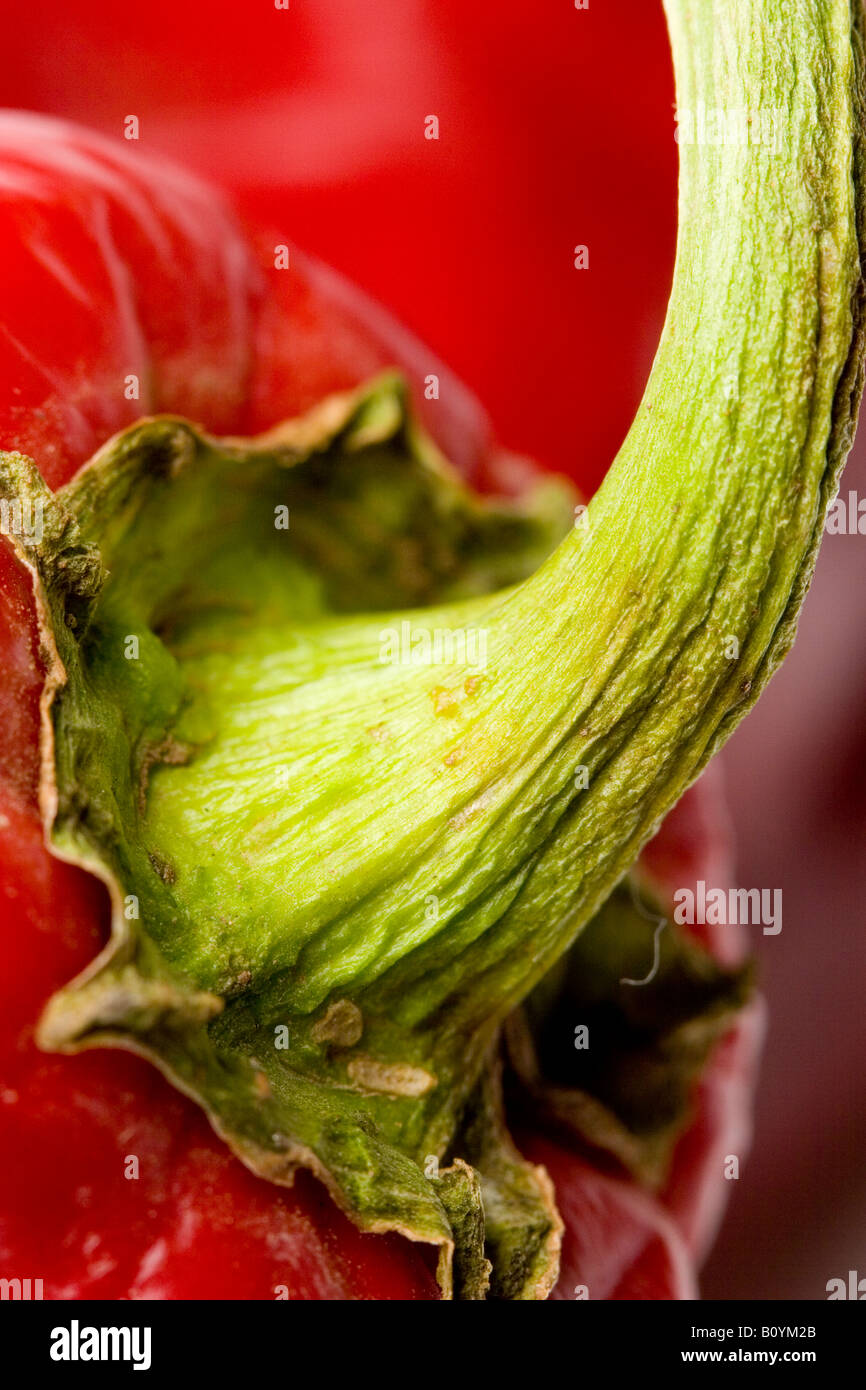Red Chili Pepper Stock Photo - Alamy
