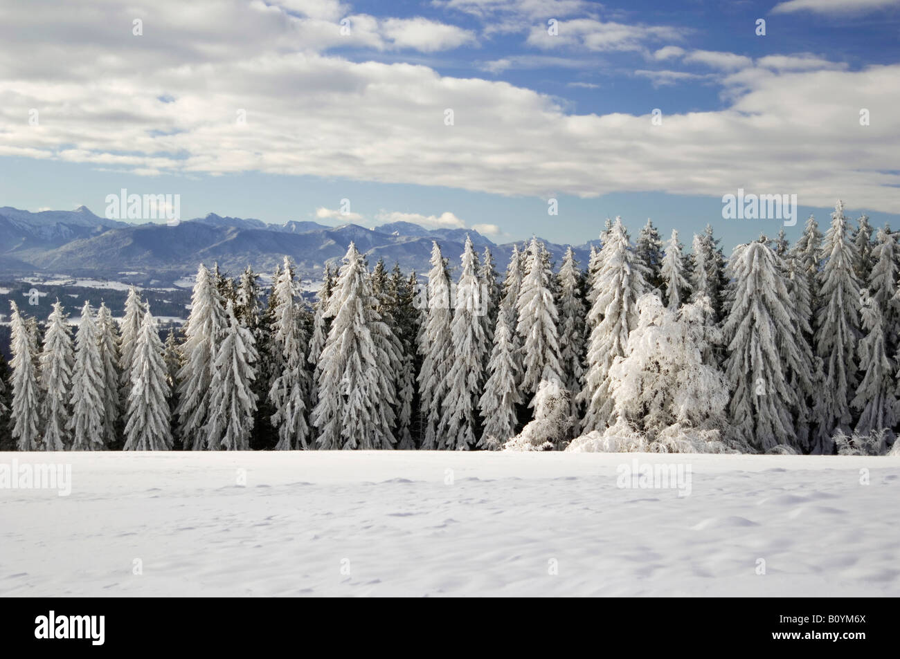 Germany, Winter landscape Stock Photo - Alamy