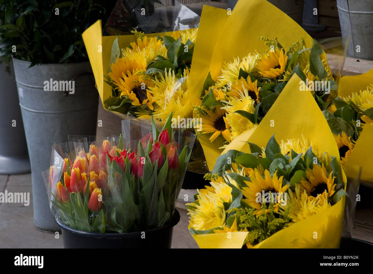 Bunches of yellow flowers Stock Photo - Alamy