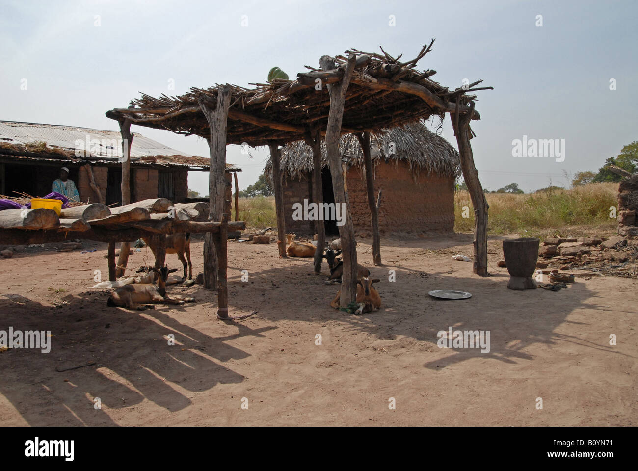 Goat compound shelter hi-res stock photography and images - Alamy
