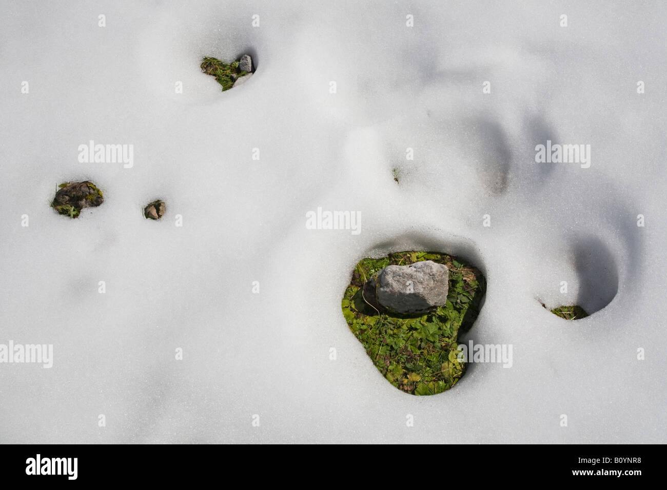 Melting of snow hi-res stock photography and images - Alamy