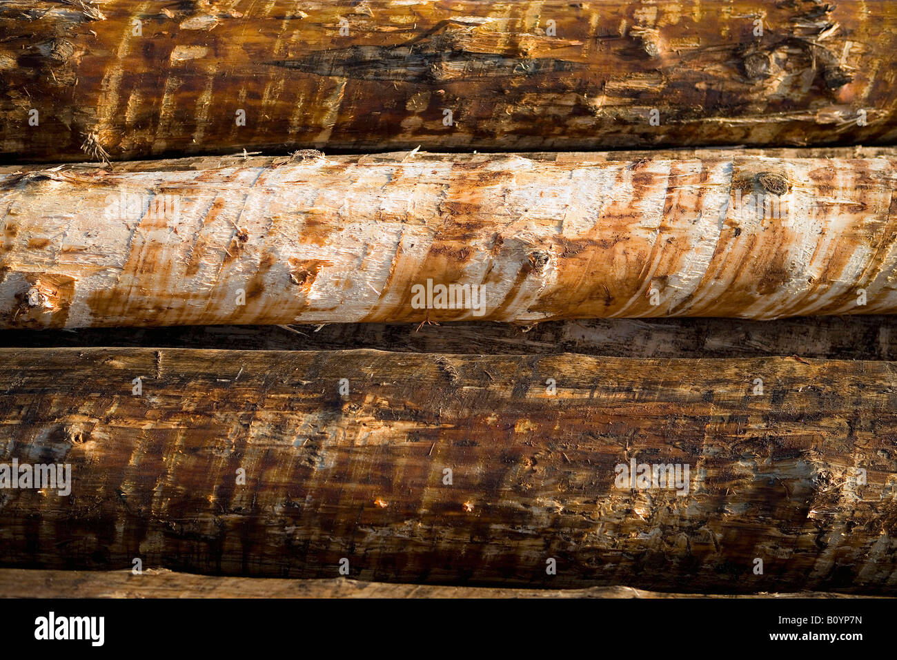 Simple structures hi-res stock photography and images - Alamy