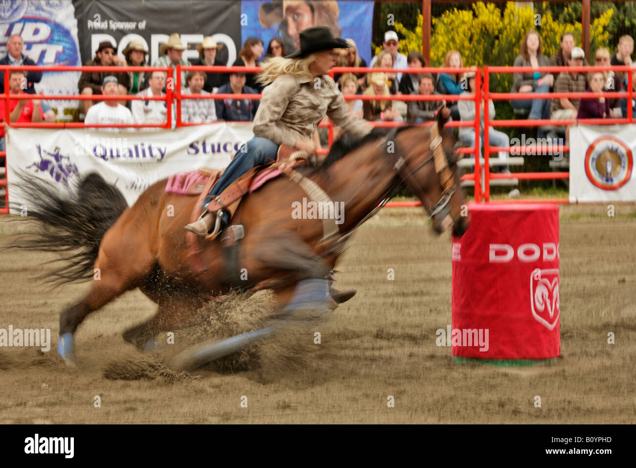 Female cowgirl performing in barrel racing event with horse Victoria ...