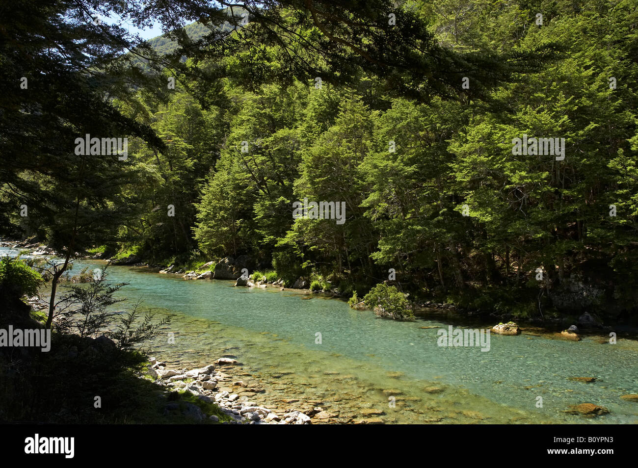 Caples River just above confluence with Greenstone River Caples and ...