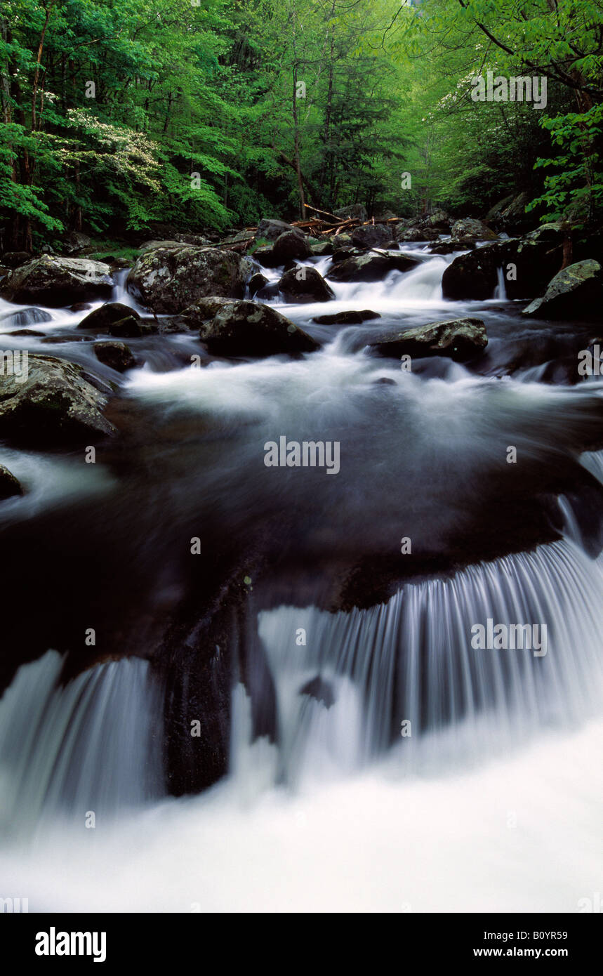 Scenic creek, Tennessee, USA Stock Photo - Alamy