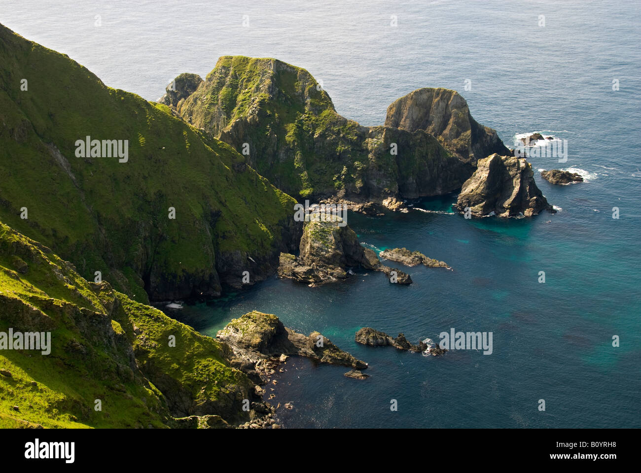Cliffs at Fitful Head, Shetland Islands, Scotland, UK Stock Photo - Alamy