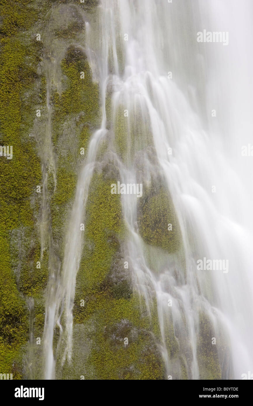Madison falls olympic national park hi-res stock photography and images ...