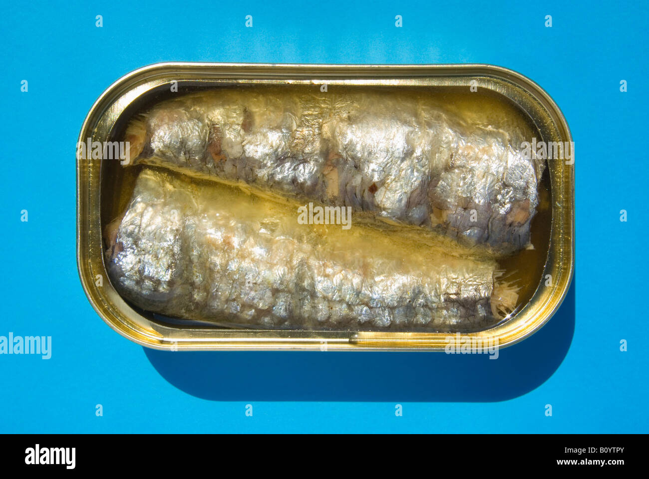 Sardine Cans High Resolution Stock Photography and Images - Alamy