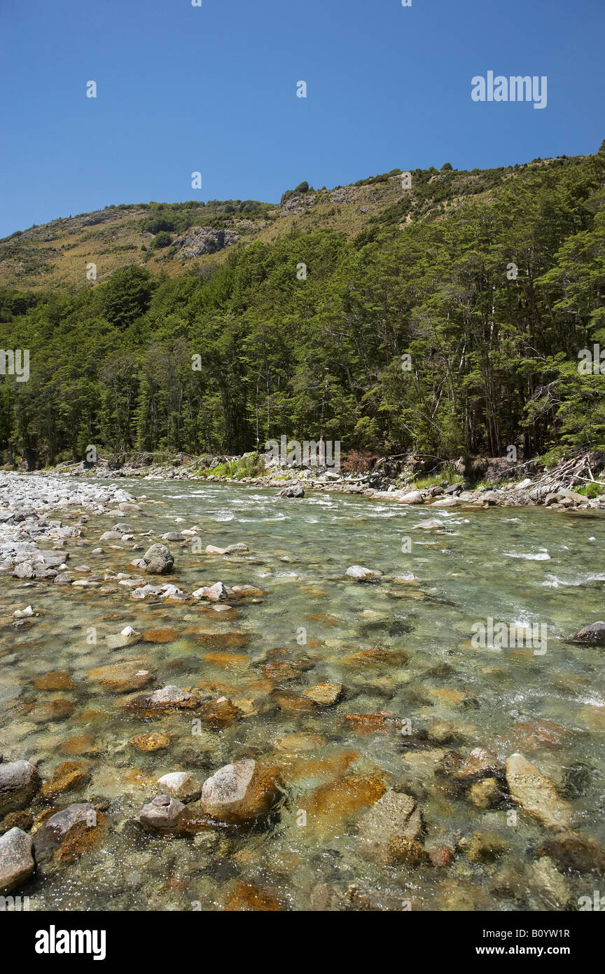 Greenstone River Greenstone Valley near Lake Wakatipu South Island New ...