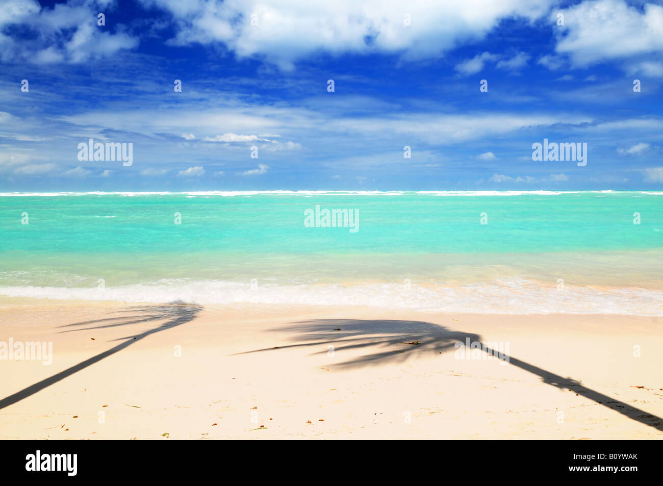 Palm tree sand shadow hi-res stock photography and images - Alamy