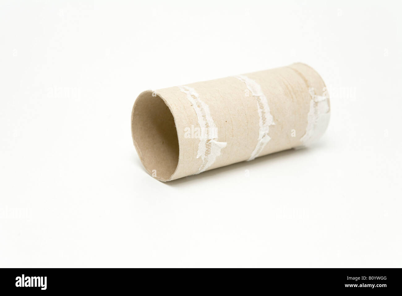 Empty toilet paper roll Stock Photo - Alamy