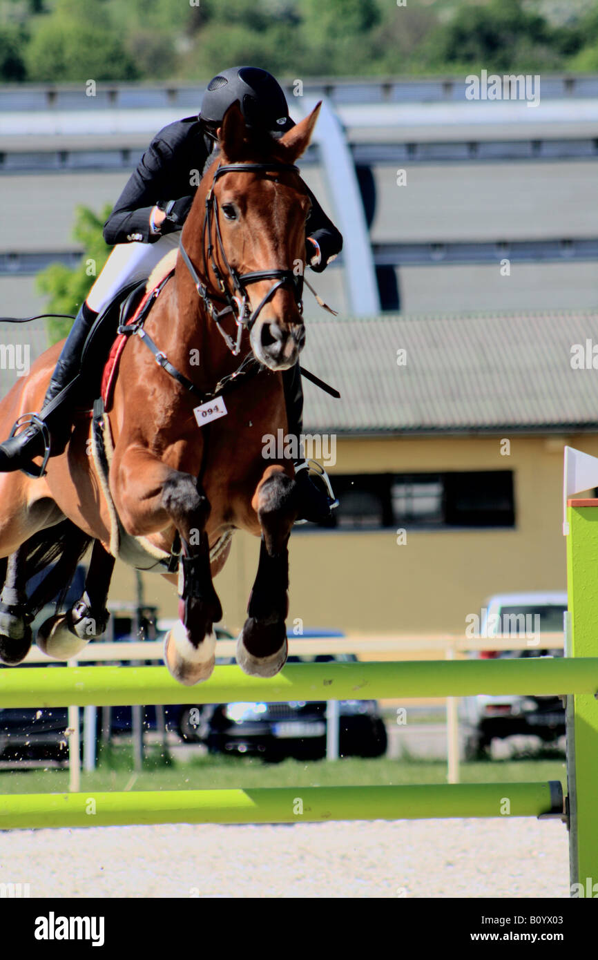 Horse jumping hi-res stock photography and images - Alamy