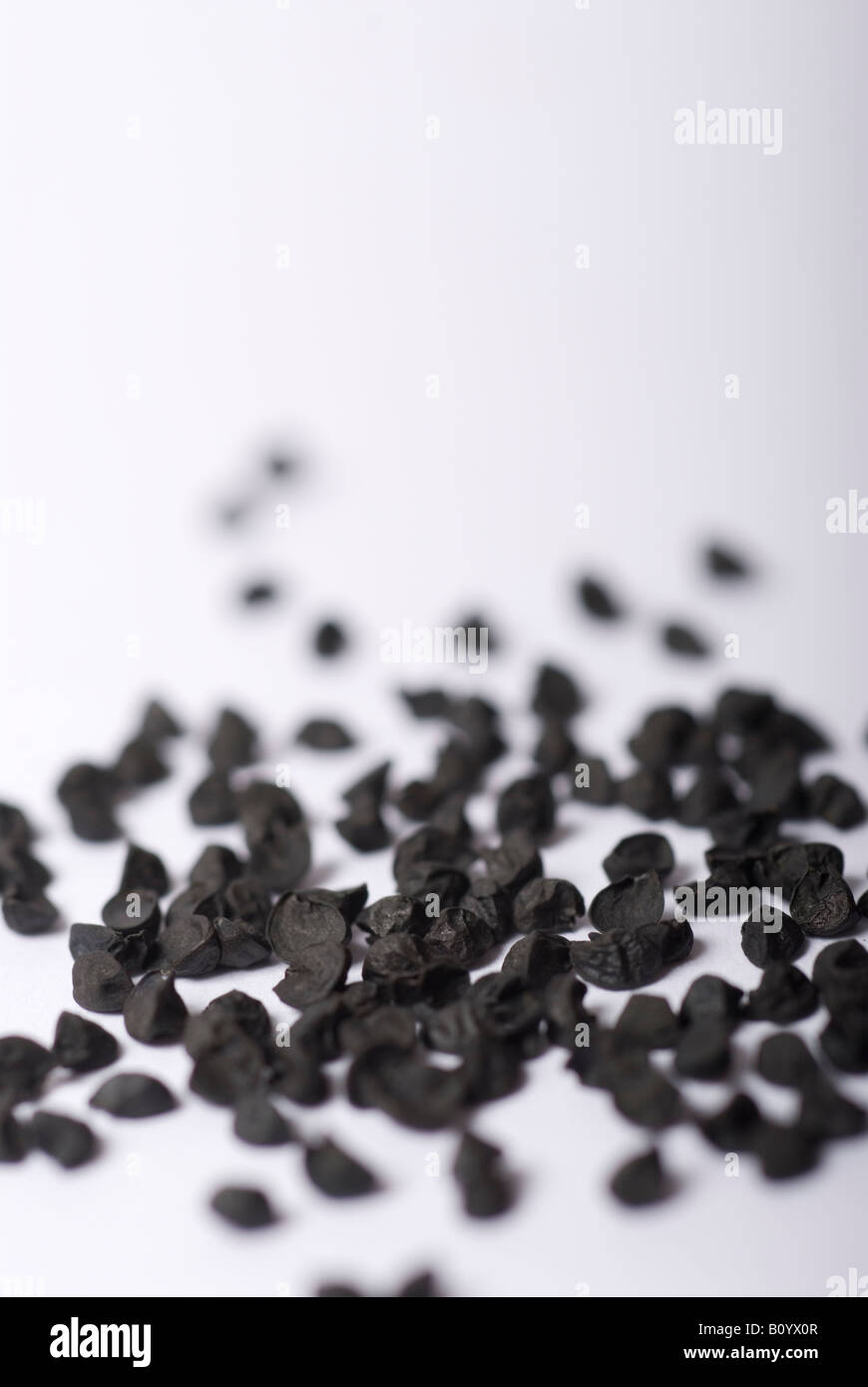 Stock photo of Onion seeds. The photo is shot against a white ...