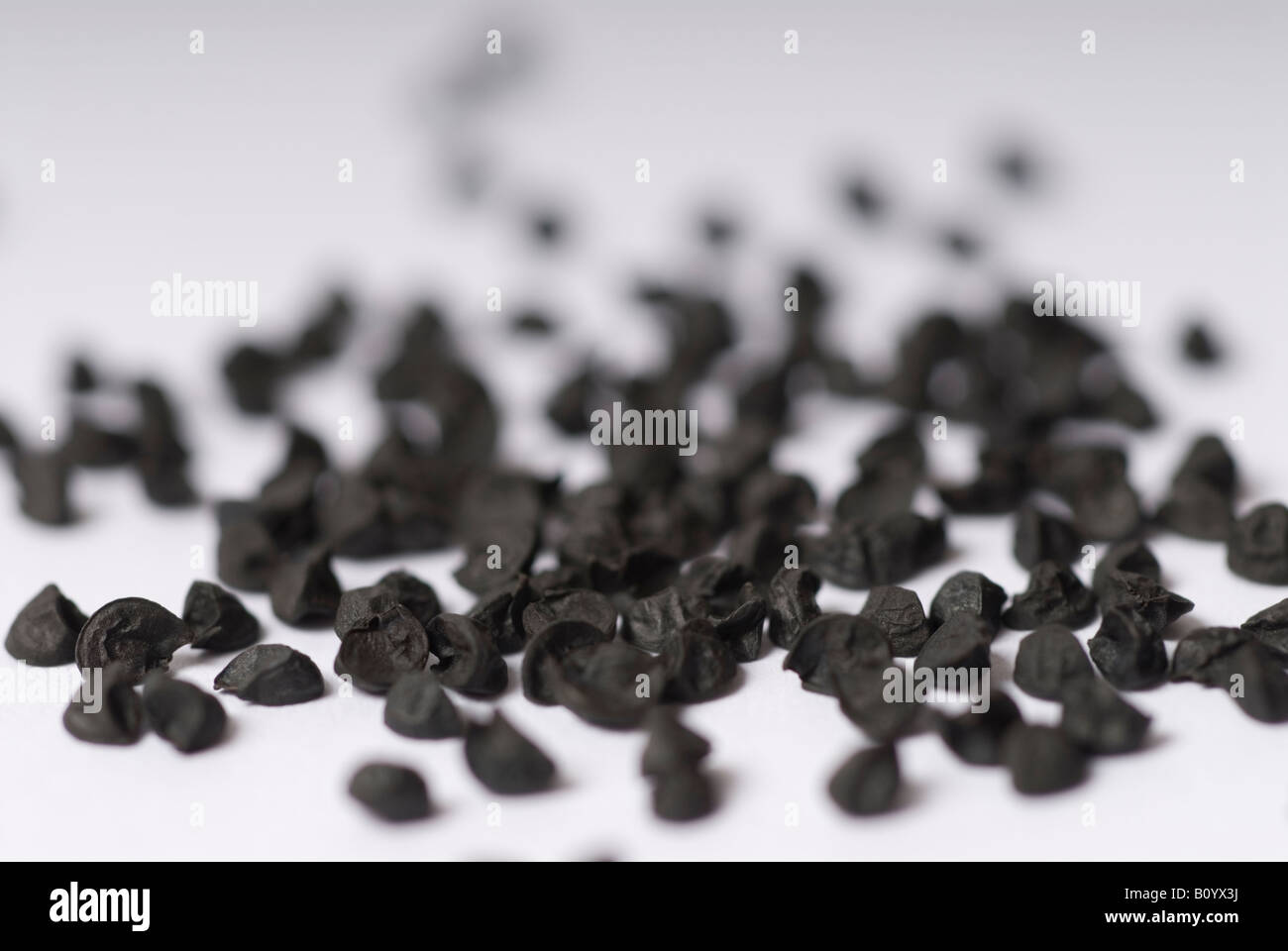 Stock photo of Onion seeds. The photo is shot against a white ...