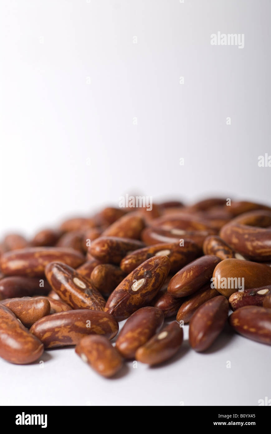 Haricot fin de bagnols hi-res stock photography and images - Alamy