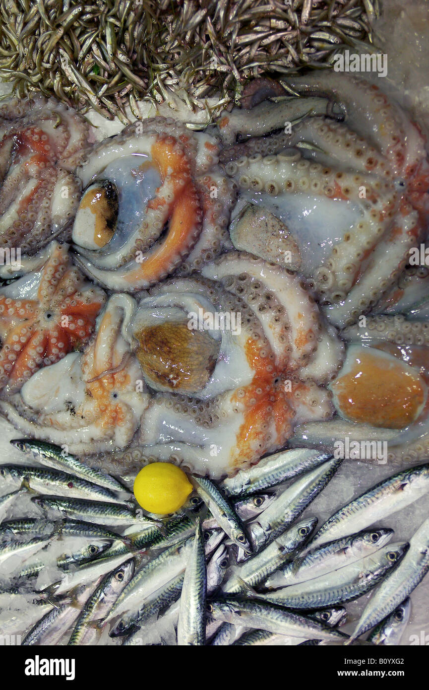 Fishshop hi-res stock photography and images - Alamy