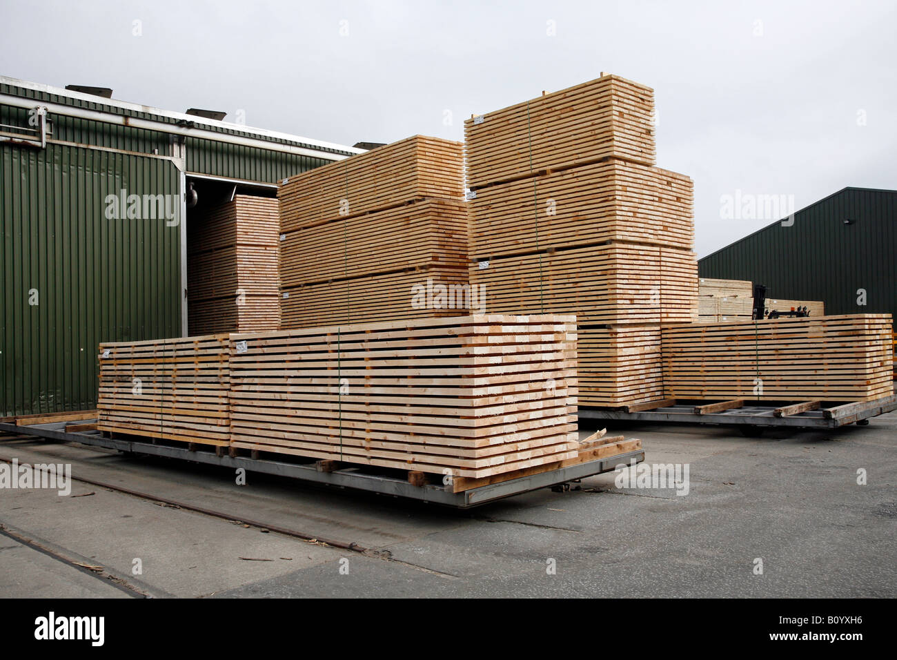 Cut Pine Tree Logs, planed softwood construction building timber at ...