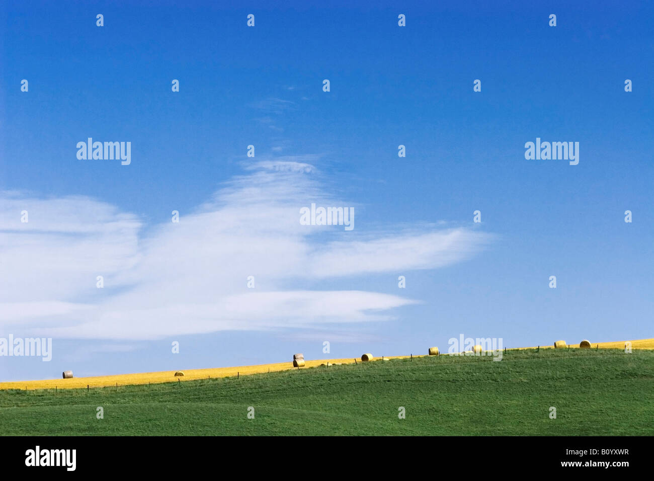 A rolling field Stock Photo - Alamy