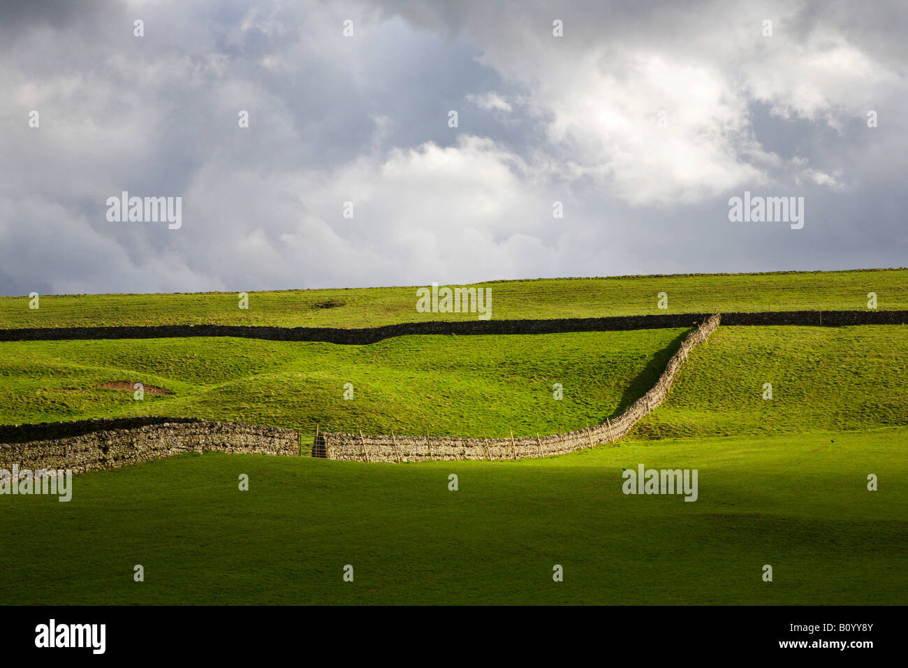 Dry Stone Walls Wensleydale Yorkshire Dales England Stock Photo - Alamy