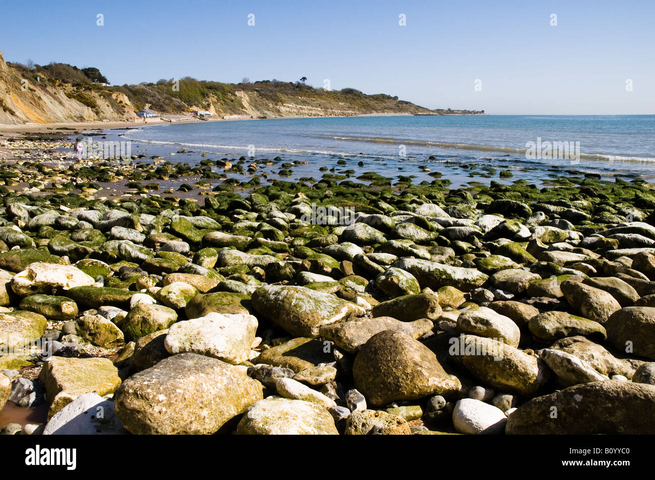 Whitecliff bay hi-res stock photography and images - Alamy