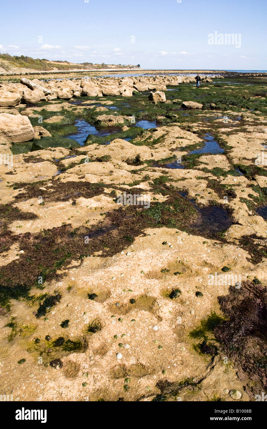 Whitecliff bay hi-res stock photography and images - Alamy