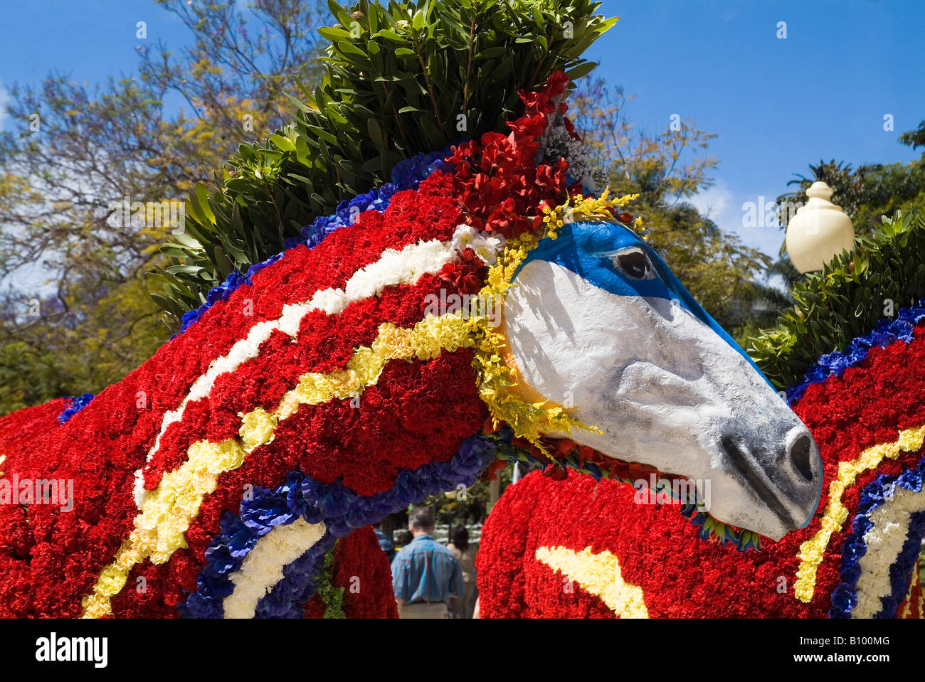 dh Flower Festival FUNCHAL MADEIRA Model horse decorated with fresh ...
