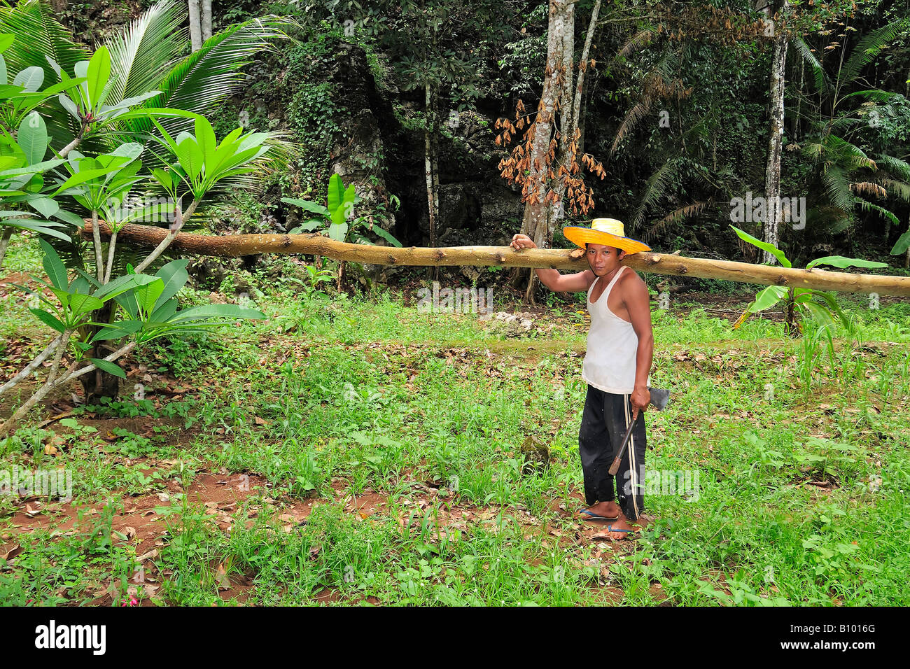Burma Jungle High Resolution Stock Photography and Images - Alamy