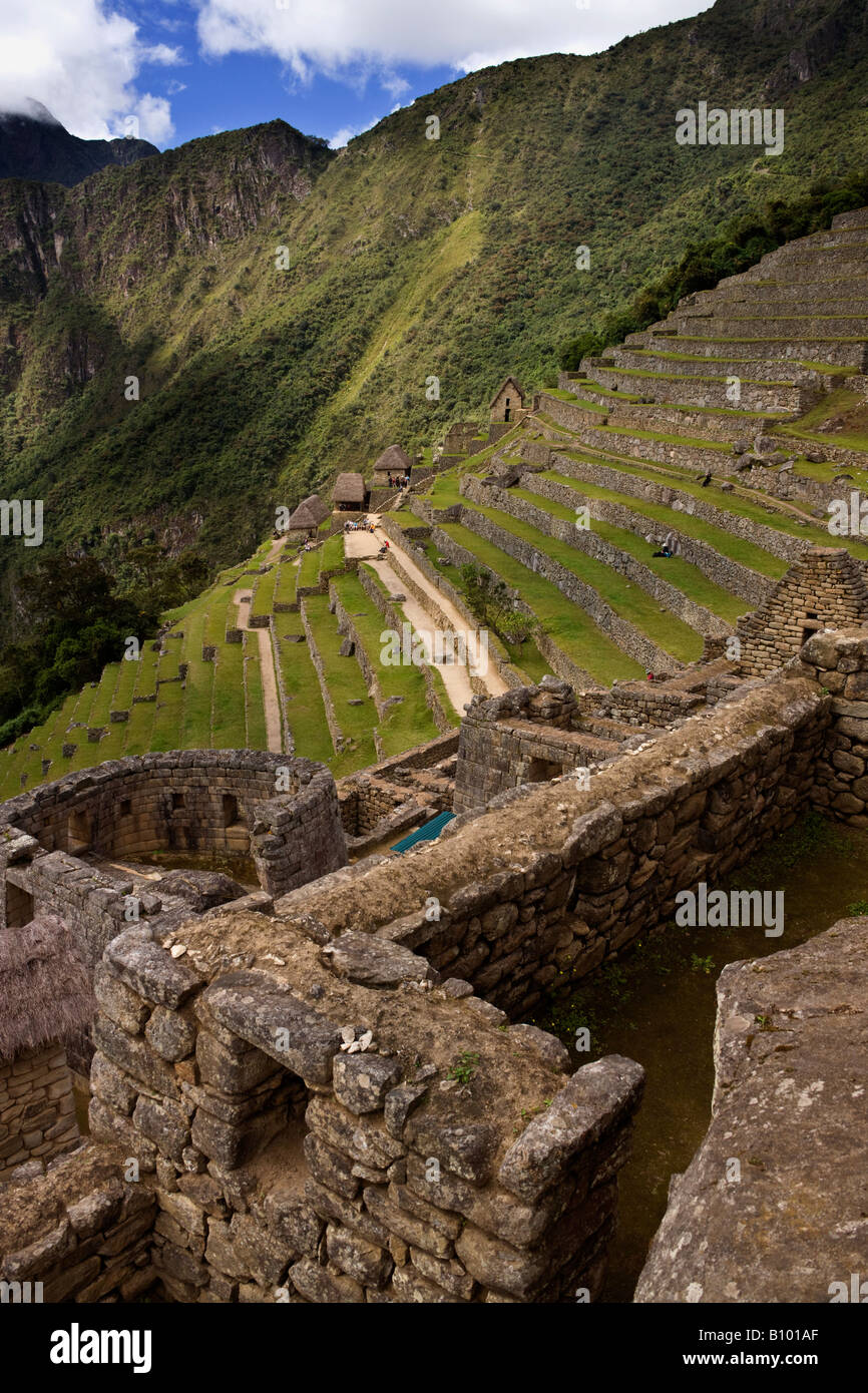 Inca terraces at the Inca city of Machu Picchu in Peru Stock Photo - Alamy