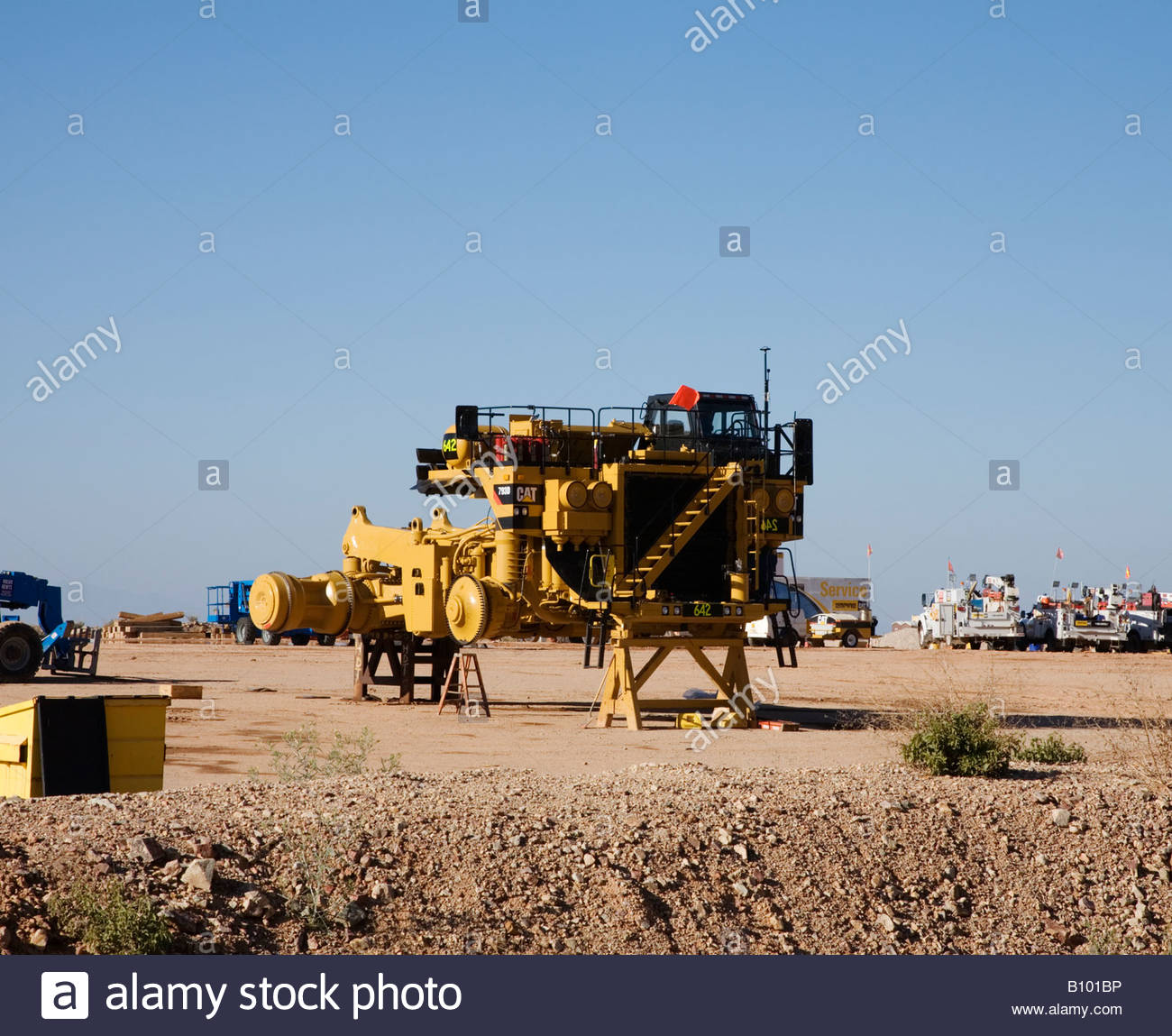Cat 240 High Resolution Stock Photography and Images - Alamy