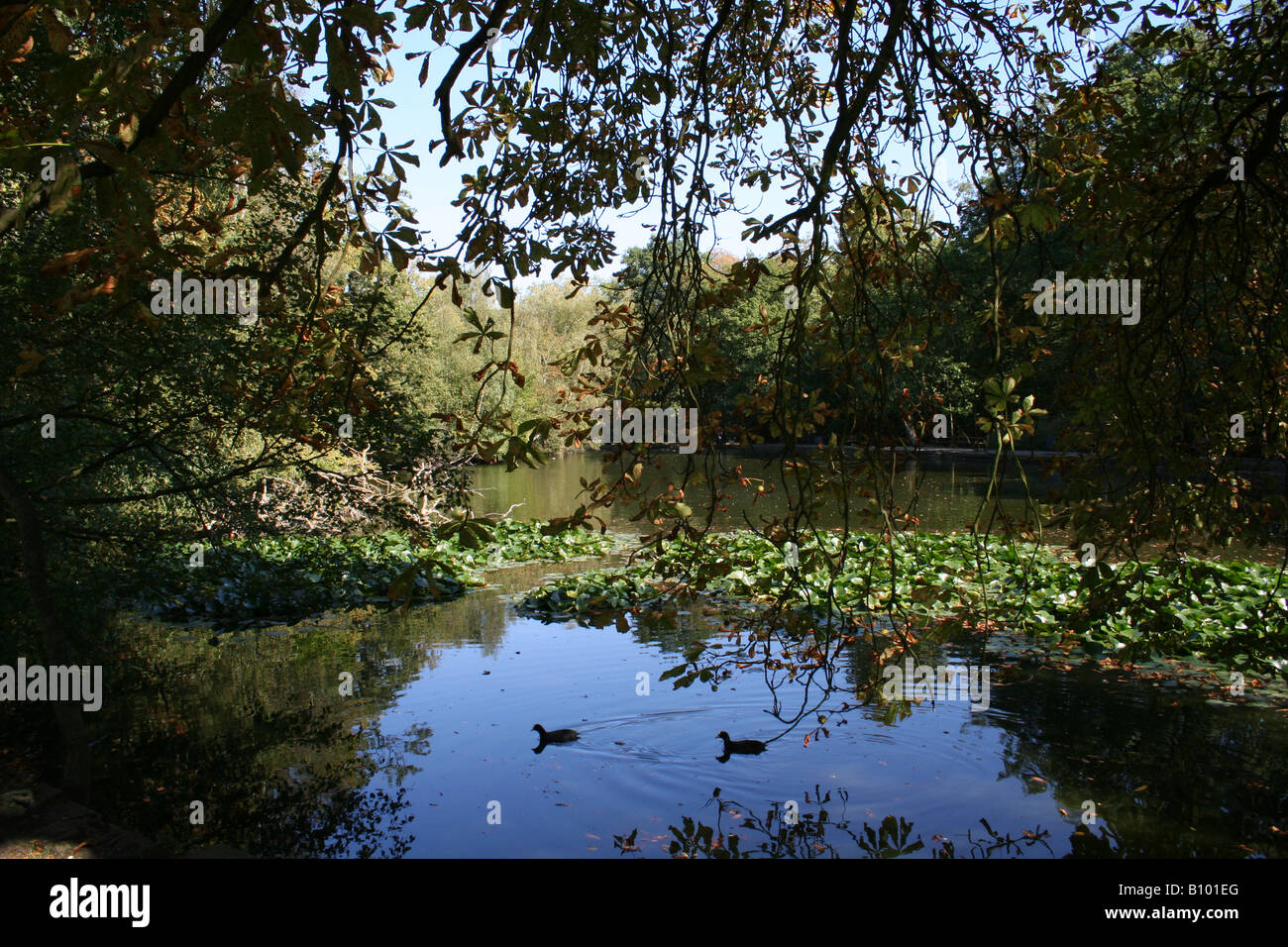 Whitewebbs Park Enfield Stock Photo - Alamy