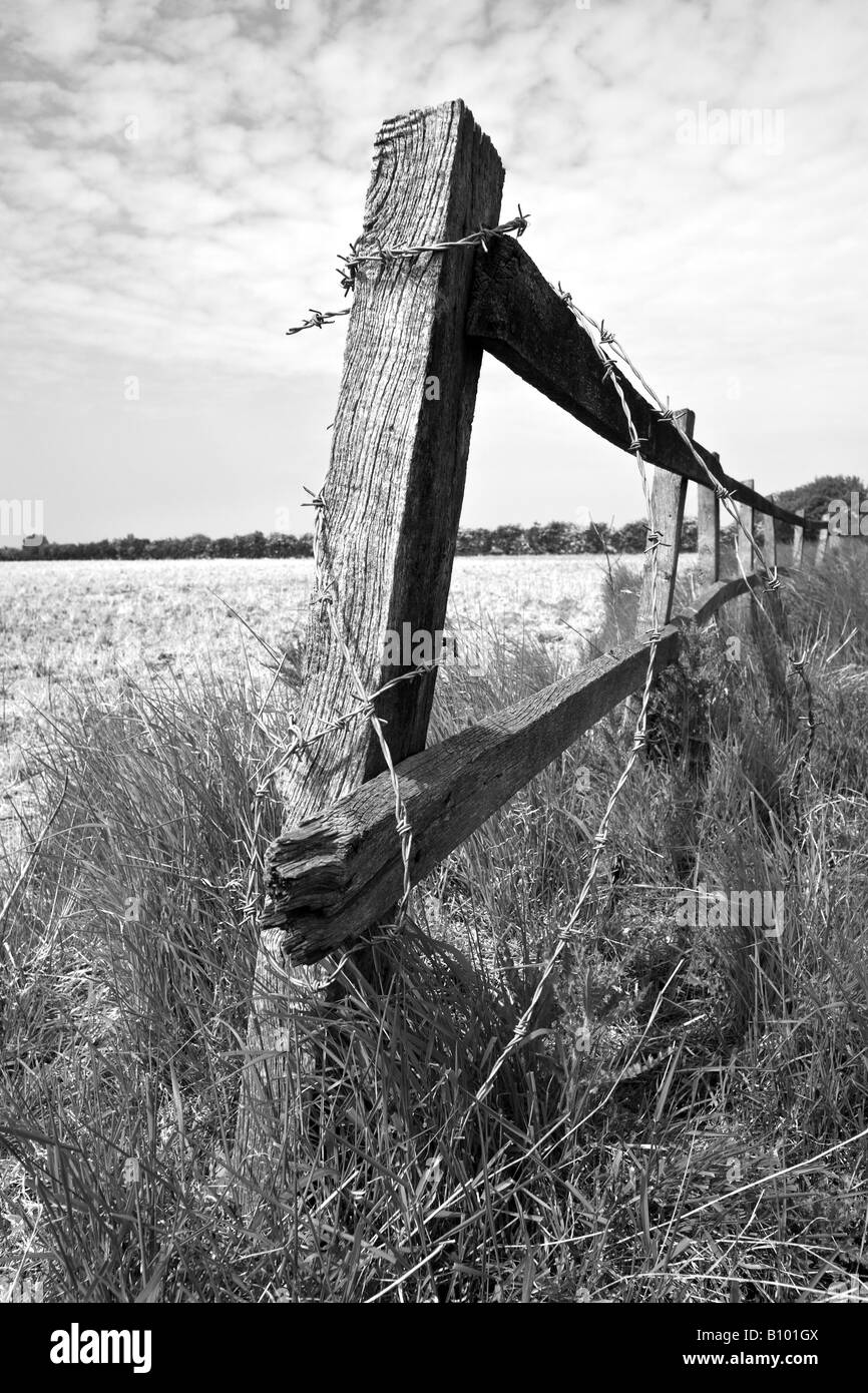 Editorial wire Black and White Stock Photos & Images - Alamy