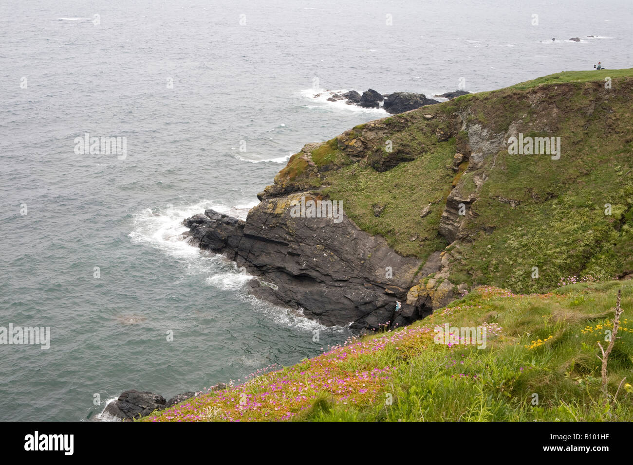 Coastal view Lizard Point Cornwall Stock Photo - Alamy