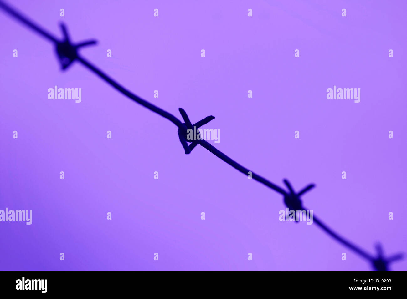 picture of the barb wire Stock Photo - Alamy