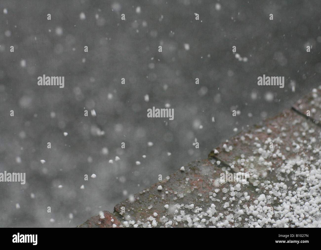 Hailstone hi-res stock photography and images - Alamy