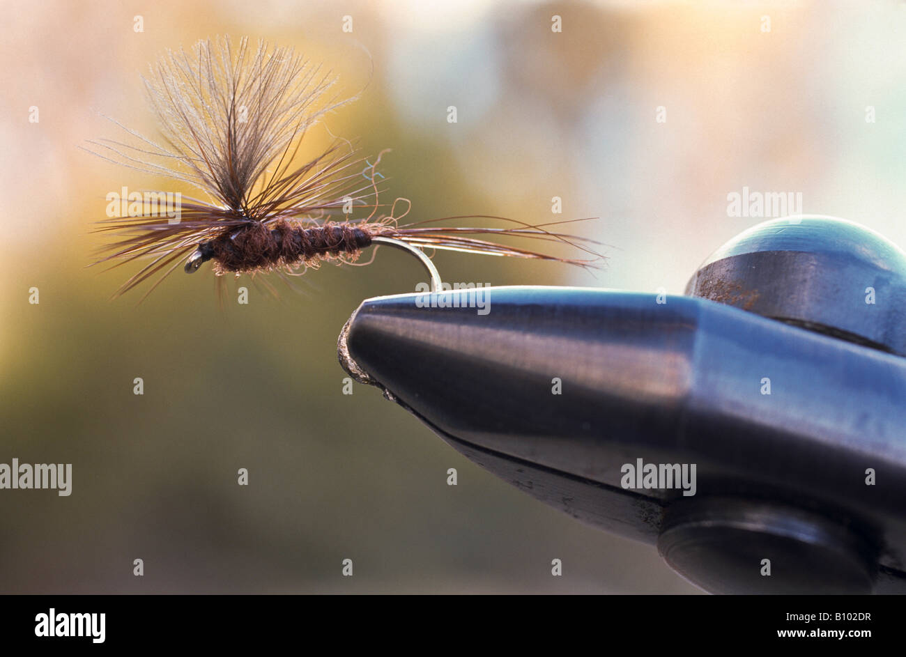 Hatch insects mimic hi-res stock photography and images - Alamy