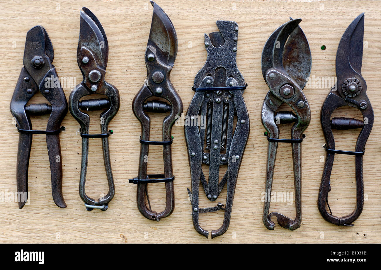 Antique gardens secateurs, UK Stock Photo - Alamy
