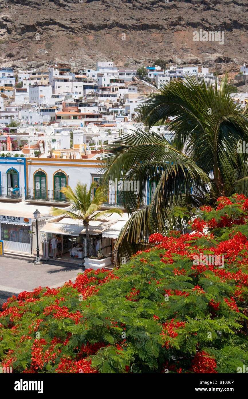 Puerto de mogán gran canaria flowers hi-res stock photography and ...