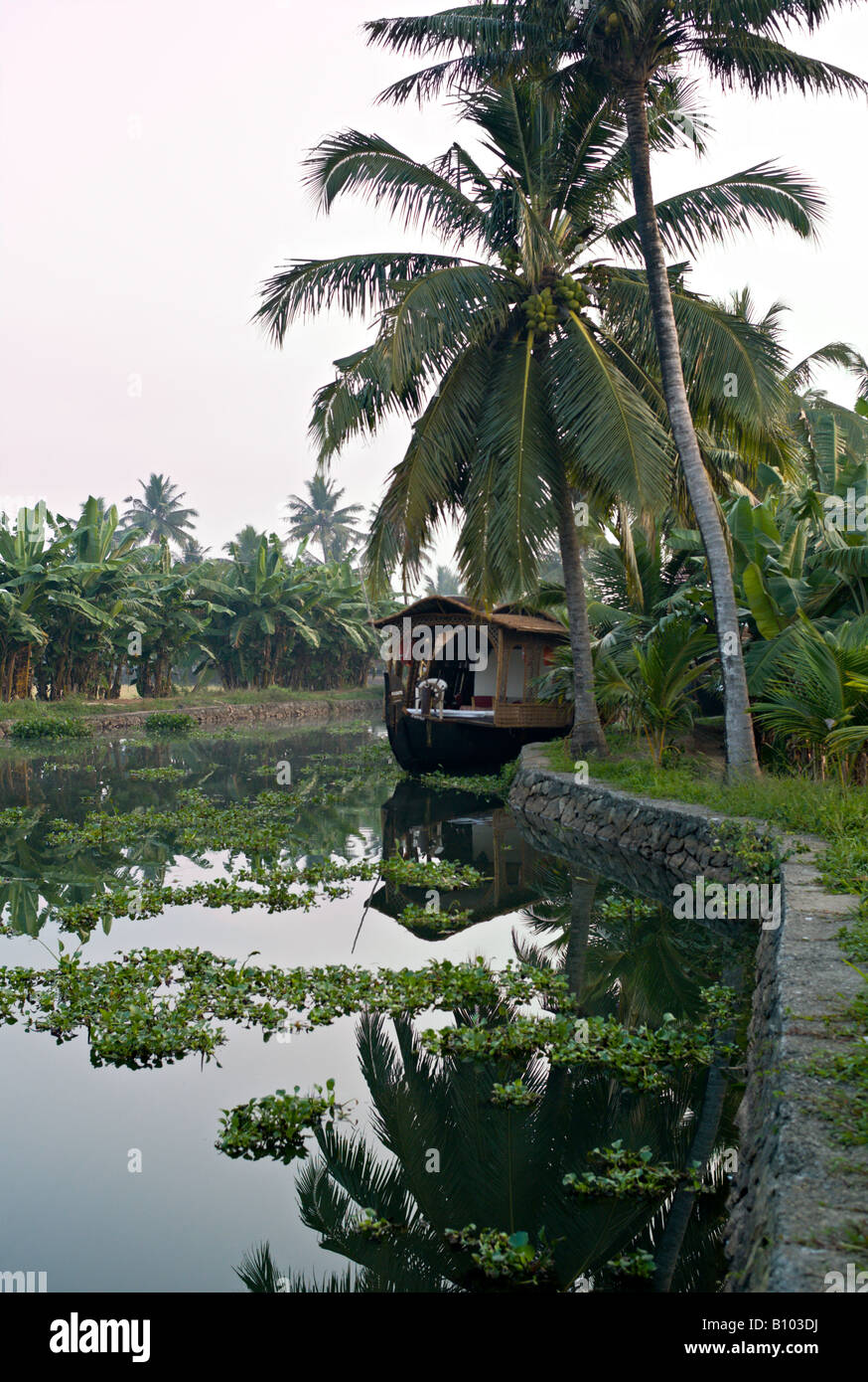 INDIA KERALA Renovated rice boat on canal in the backwaters of Kerala ...