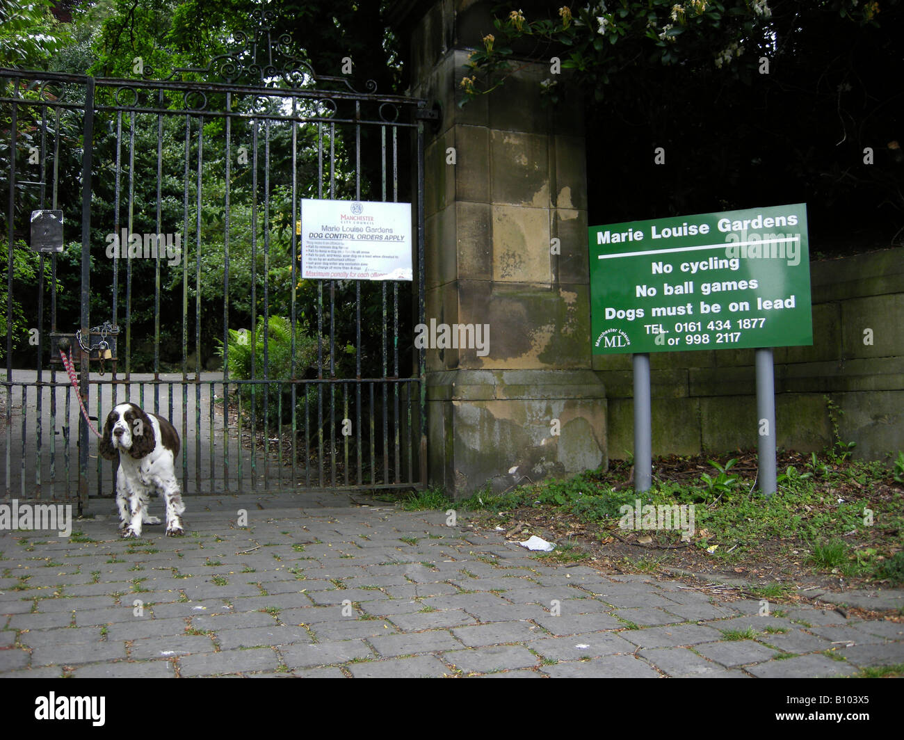 dog outside locked park gates Stock Photo - Alamy