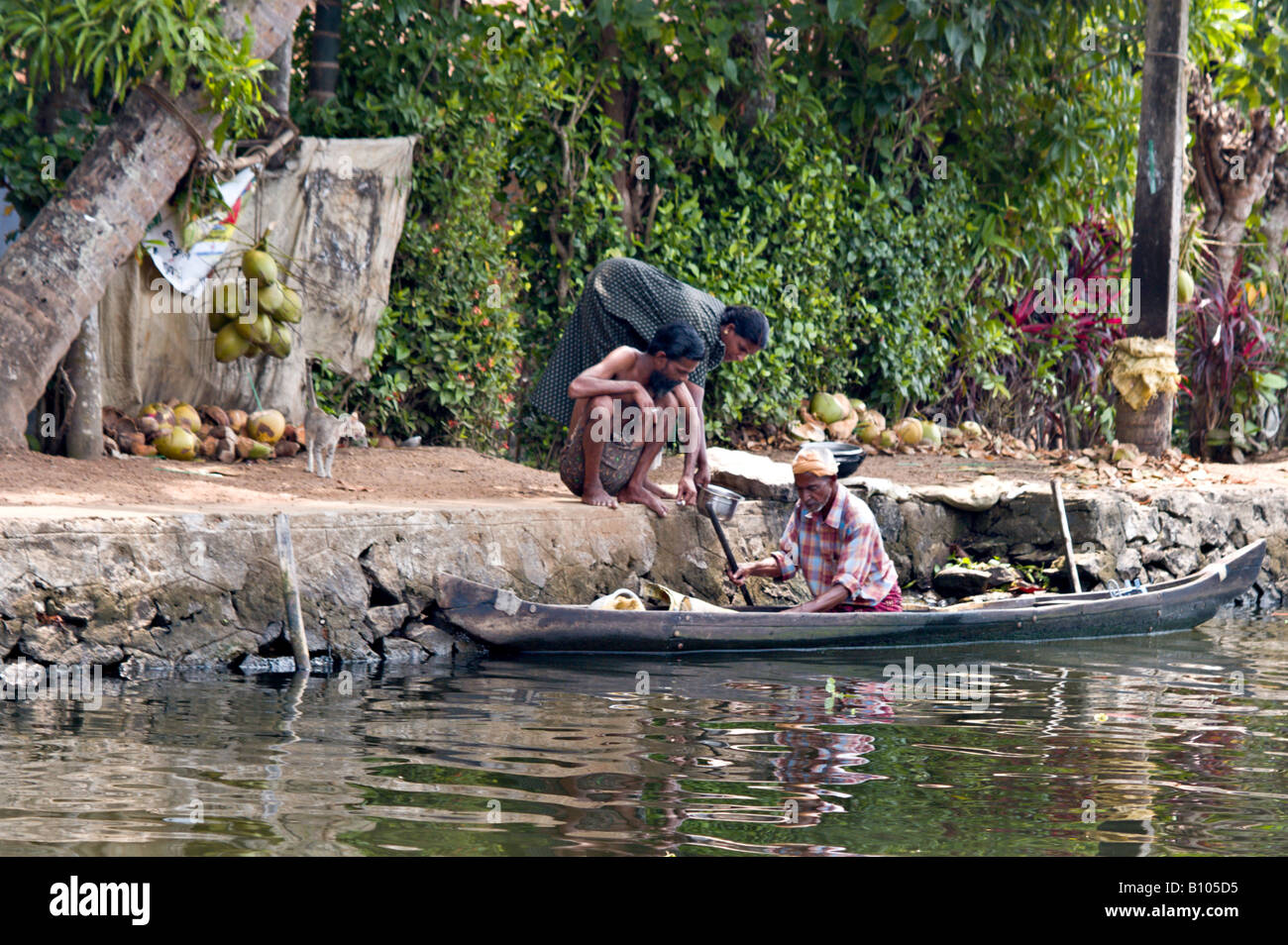 Kerala backwater fish hi-res stock photography and images - Alamy