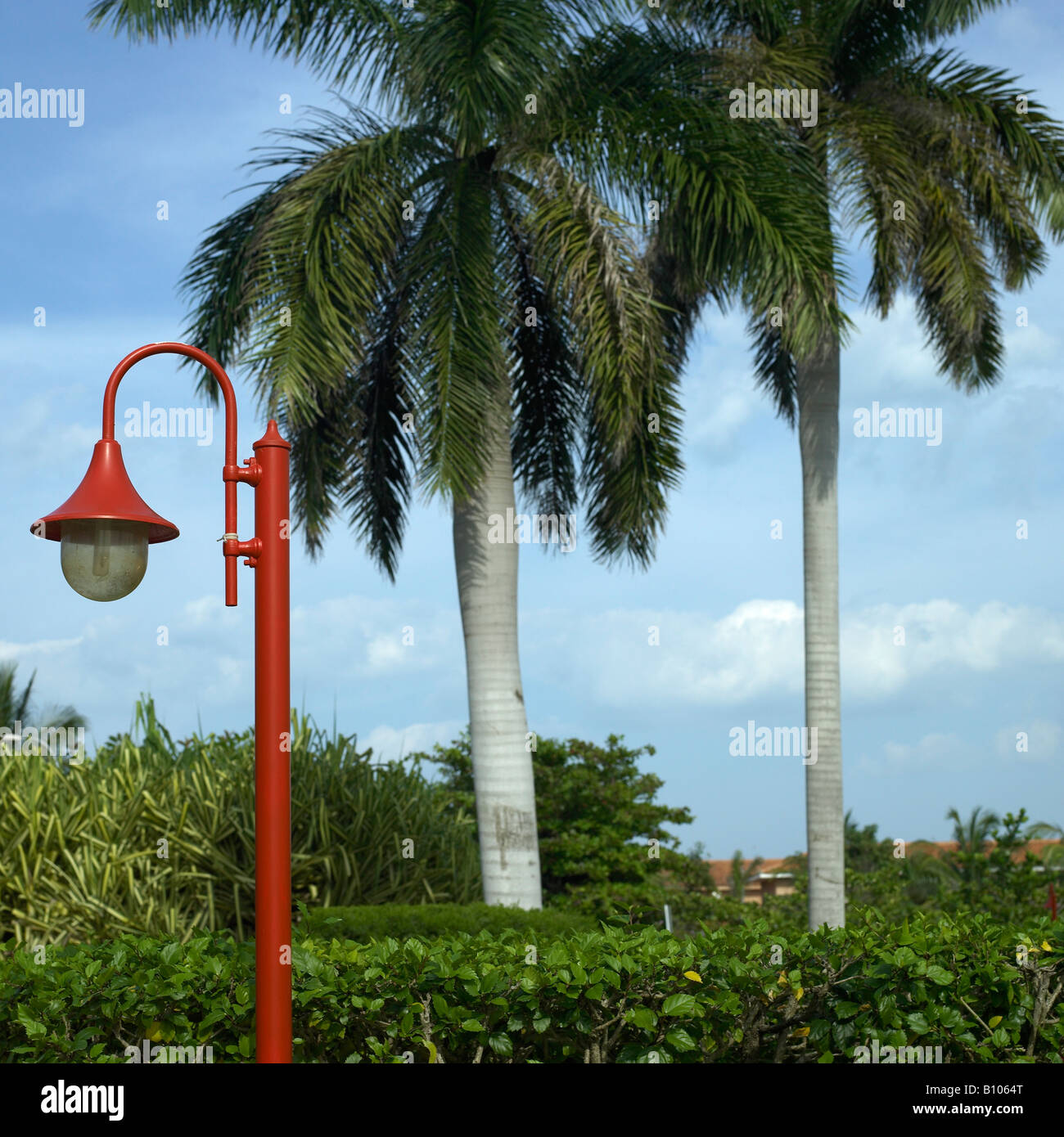 Lamp post in bush hi-res stock photography and images - Alamy